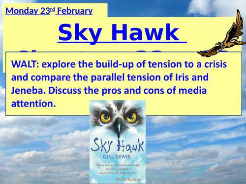 Sky Hawk by Gill Lewis ~ Ready-to-use lessons for Chapters 20 - 41 ...
