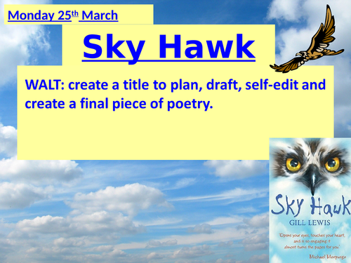 Sky Hawk by Gill Lewis ~ Ready-to-use lessons for Chapters 20 - 41 ...