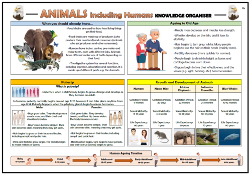 Year 5 Animals including Humans Knowledge Organiser! | Teaching Resources