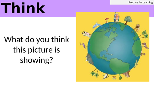 KS3 Ecosystem Lessons | Teaching Resources