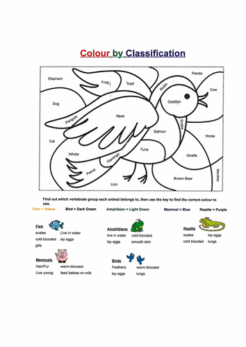 Colour by Science | Teaching Resources