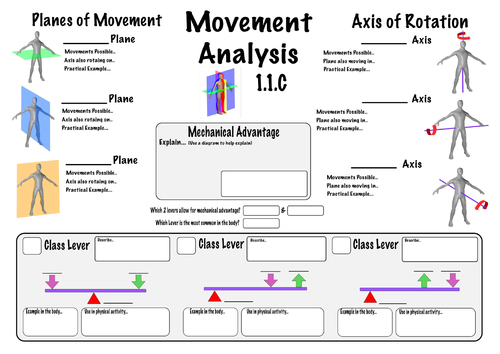 Movement Analysis GCSE PE (OCR 1.1.c) Revision Sheet | Teaching Resources