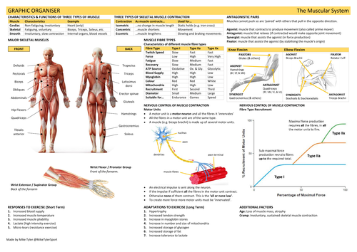 Anatomy & Physiology: Five Graphic Organisers | Teaching Resources