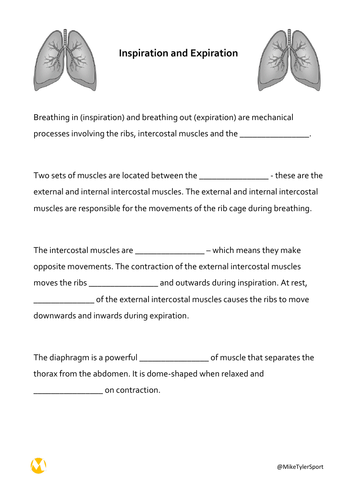 A&P Respiratory System: Mechanisms of Breathing Cloze | Teaching Resources