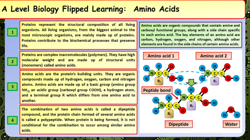 A Level Biology Biological Molecules Summary Sheets | Teaching Resources
