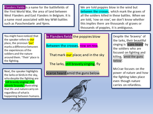 War Poetry In Flanders Fields | Teaching Resources