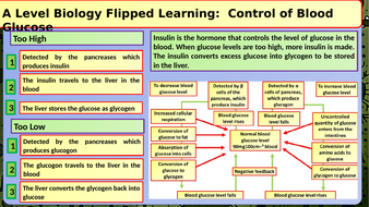 A Level Biology Hormonal Control Summary Sheets | Teaching Resources