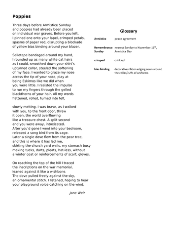 Poppies Poem by Jane Weir - Poetry Exploration | Teaching Resources