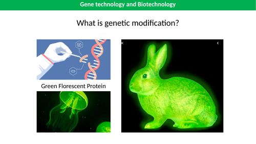 Gene Technology and Biotechnology | Teaching Resources