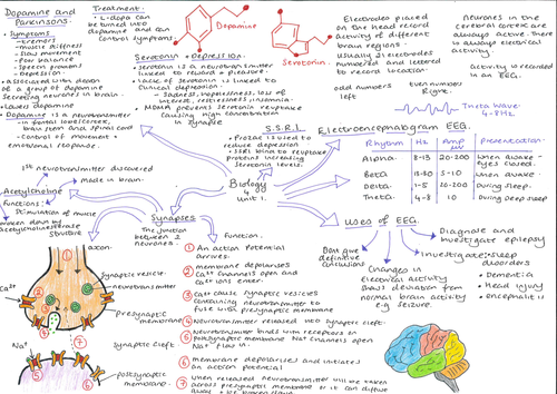 BTEC Applied Science Level 3/BTEC Criminal Investigation Unit 1 Biology ... BTEC Applied Science Level 3/BTEC Criminal Investigation Unit 1 Biology ...