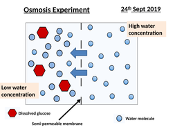 Osmosis explained - animated ppt | Teaching Resources