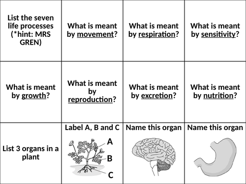 Year 7 - Cells, Tissues, Organs and Organ Systems Revision Question ...