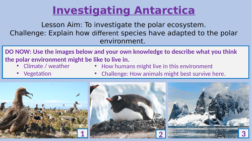 Seven Worlds, 1 Planet - Antarctica Lesson | Teaching Resources