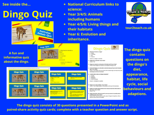 Science: Living things and their Habitats: Dingo Quiz | Teaching Resources