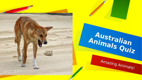Science: Living things and their Habitats: Dingo Quiz | Teaching Resources