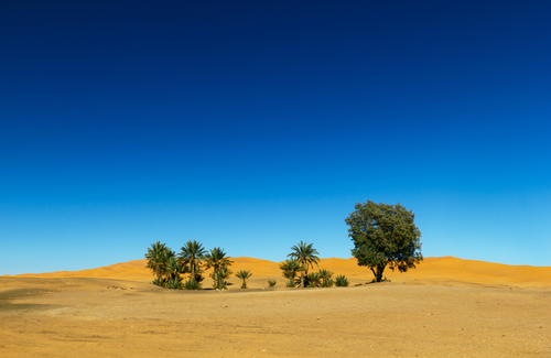 GCSE Geography, Climatic Challenges and Opportunities in the Sahara ...