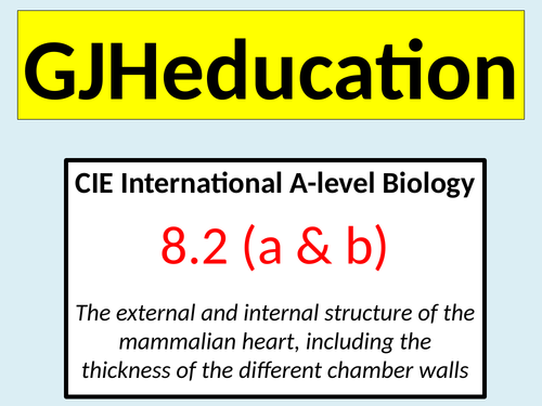 Mammalian heart structure (CIE International A-level Biology ...