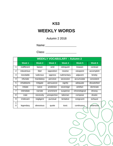 KS3 Vocabulary teaching & HW Pack 2 | Teaching Resources