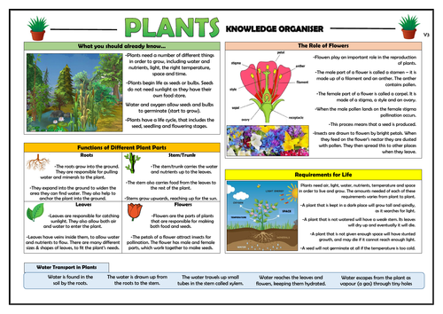 Huge KS2 Science Knowledge Organisers Bundle! | Teaching Resources