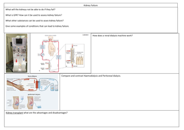 A Level Kidney | Teaching Resources
