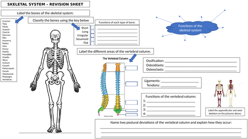 BTEC National Sport Unit 1 - Anatomy & Physiology - Topic A Skeletal ...