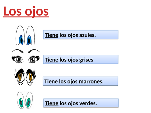 SPANISH COMO ES HAIR AND EYES | Teaching Resources