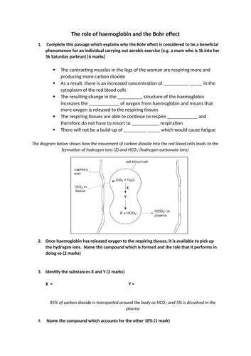 Transport in mammals REVISION (Topic 8 CIE International A-level ...
