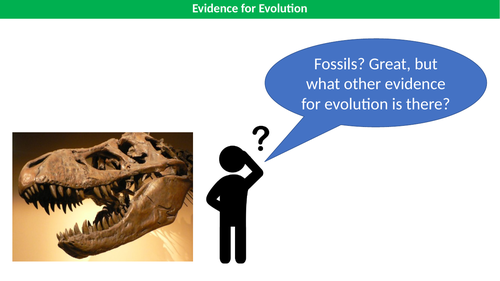 Evidence for Evolution | Teaching Resources