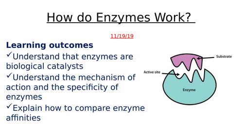 A level Enzymes and how they work | Teaching Resources