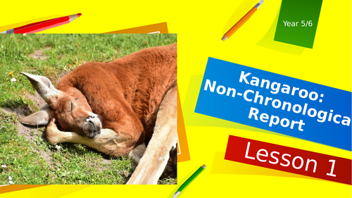 Kangaroo Non-Chronological Report Planning for Year 5/6 | Teaching ...