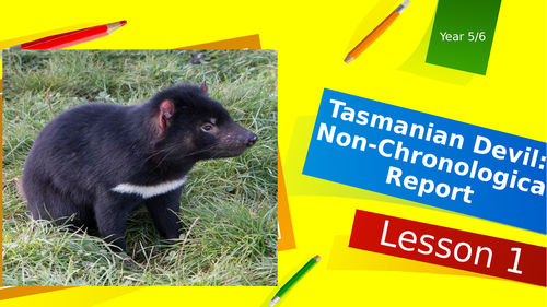 Tasmanian Devil: Non-Chronological Report Planning for Year 5/6 ...