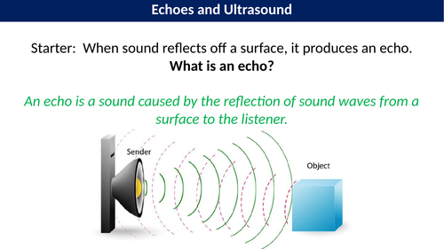 Echoes, ultrasound and echolocation | Teaching Resources