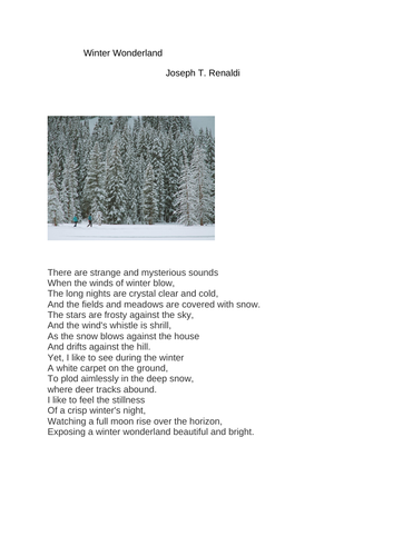 Winter Wonderland- Joseph T. Renaldi | Teaching Resources