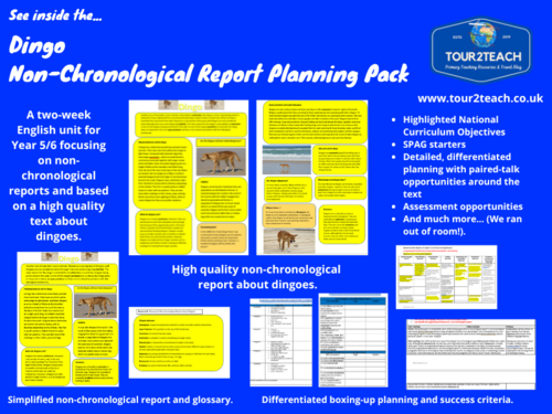 Dingo: Non-Chronological Report Planning for Year 5/6 | Teaching Resources