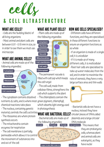 AQA GCSE BIOLOGY CELL STRUCTURE | Teaching Resources