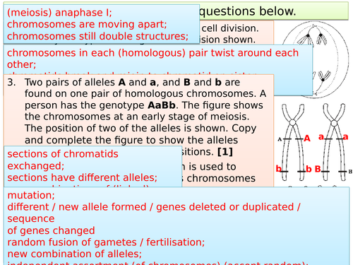 A Level Biology Genetics - Inheritance | Teaching Resources