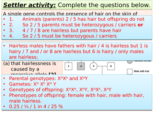 A Level Biology Genetics - Inheritance | Teaching Resources