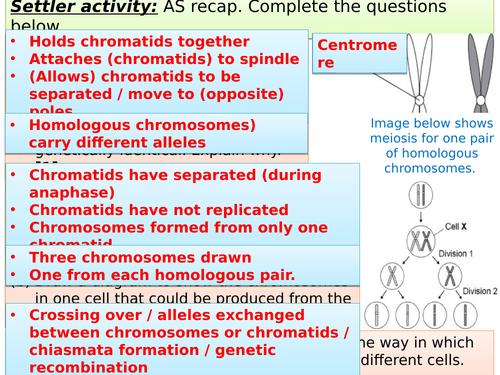 A Level Biology Genetics - Inheritance | Teaching Resources