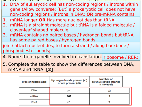 A Level Biology Genetics - Gene expression | Teaching Resources