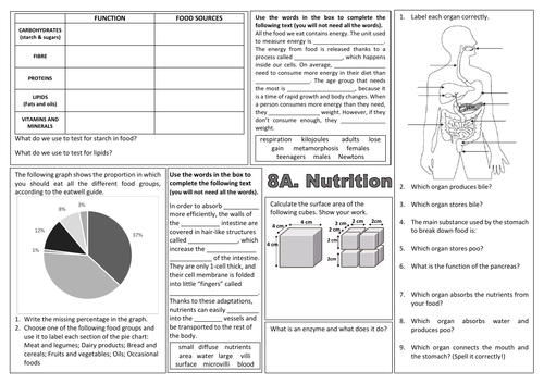 Revision 8A Nutrition (Exploring Science): Revision mat worksheet ...