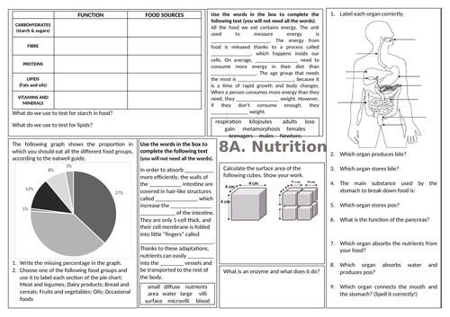 Revision 8A Nutrition (Exploring Science): Revision mat worksheet ...