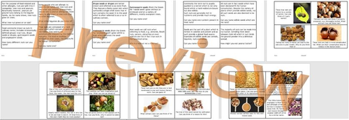 Nuts workbook and activities | Teaching Resources