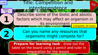 Competition and interdependence GCSE | Teaching Resources