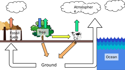 Carbon cycle game! | Teaching Resources