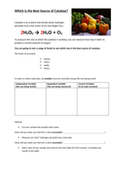 Enzyme activity experiment: catalase sources | Teaching Resources