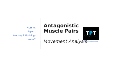 GCSE PE - Antagonistic Muscle Pairs | Teaching Resources