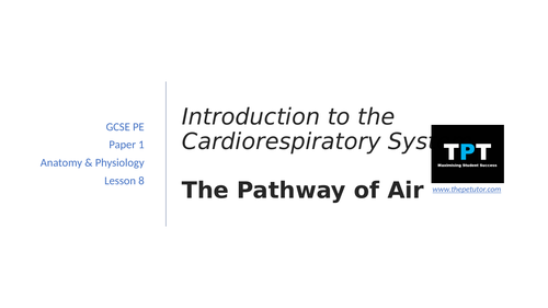 GCSE PE - Pathway of Air Diagram | Teaching Resources