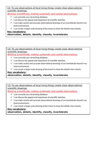 Year 4 - Living things full unit. | Teaching Resources