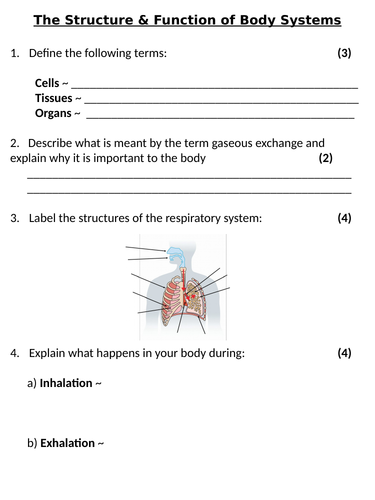 KS3 ~ Year 7 ~ Structure & Function of Body Systems Homework | Teaching ...