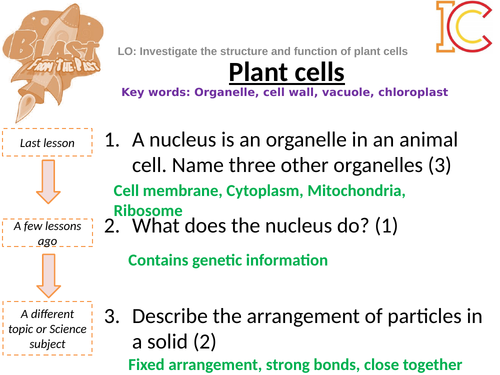Cell Biology KS3 - Plant Cells | Teaching Resources